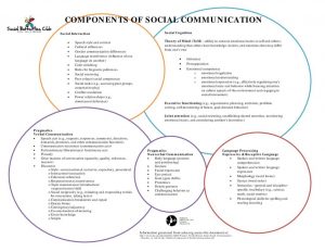 Components of Social Communication Handout - Social Butterflies
